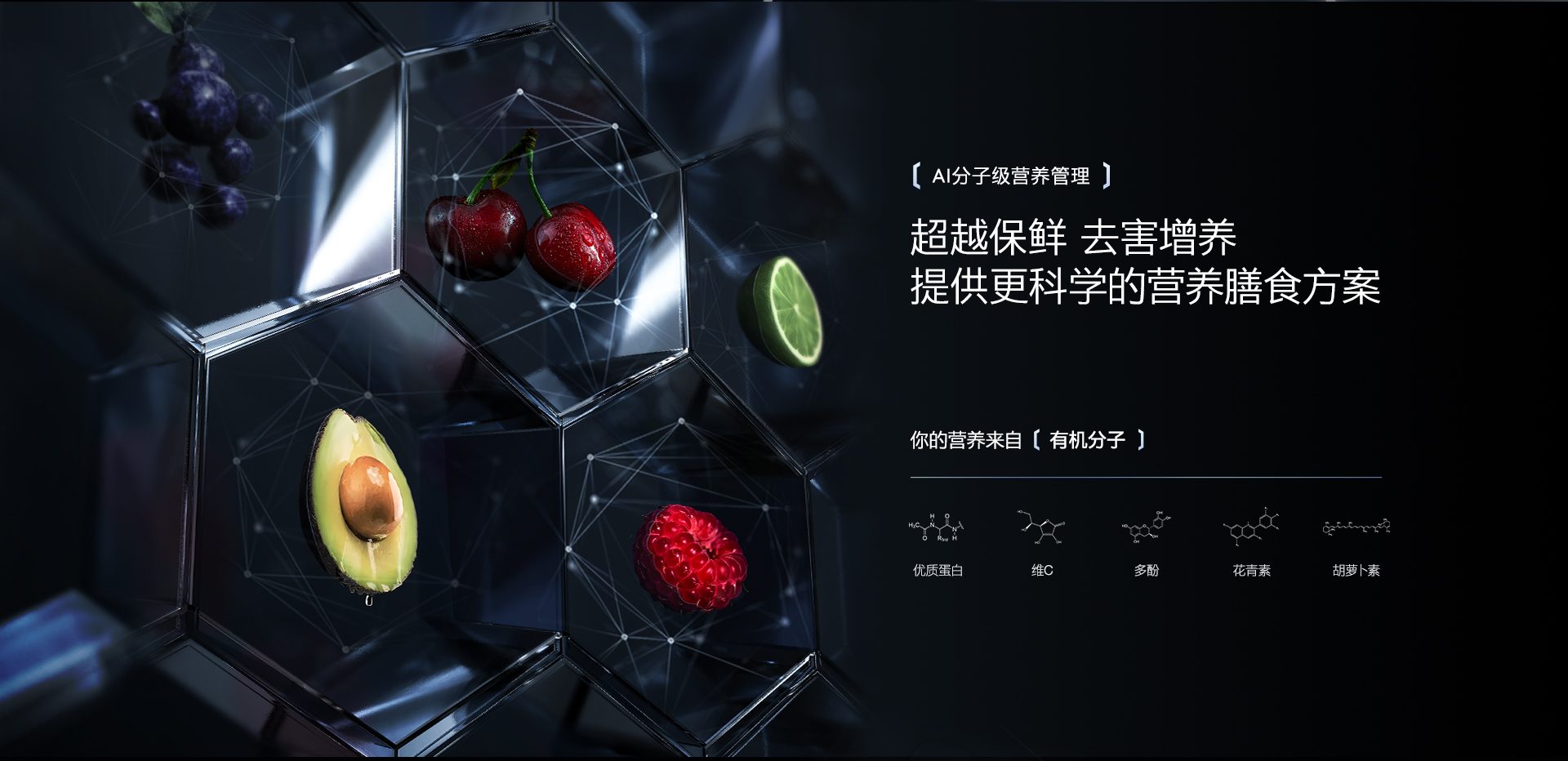 COLMO EVOLUTION 天墅冰箱615